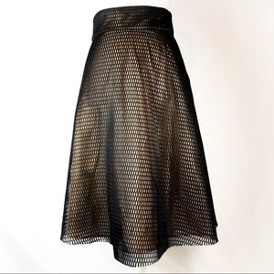Skirts | Forever 21 Contemporary Mesh Overlay Aline Skirt | Poshmark